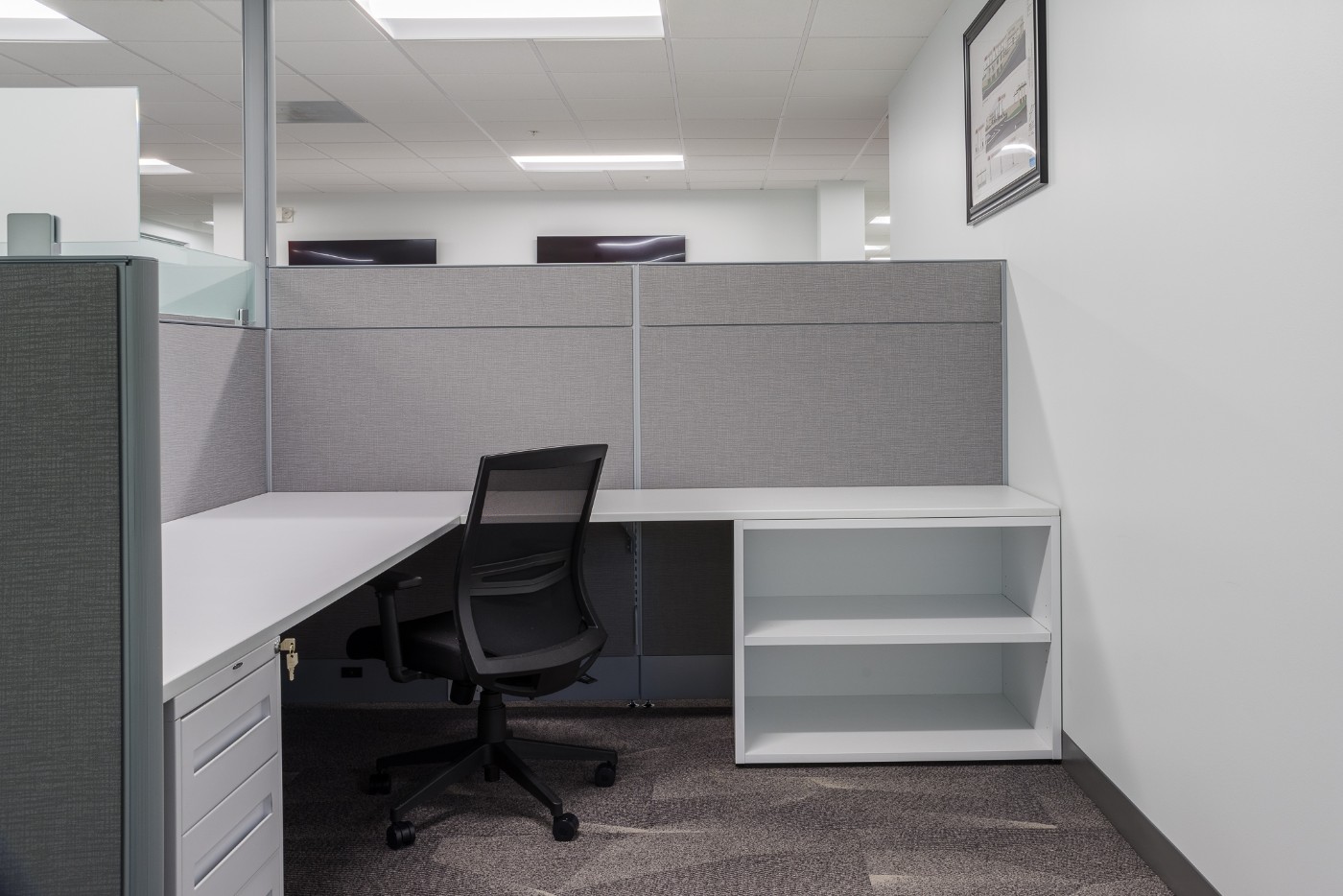 Bowman - Interstruct